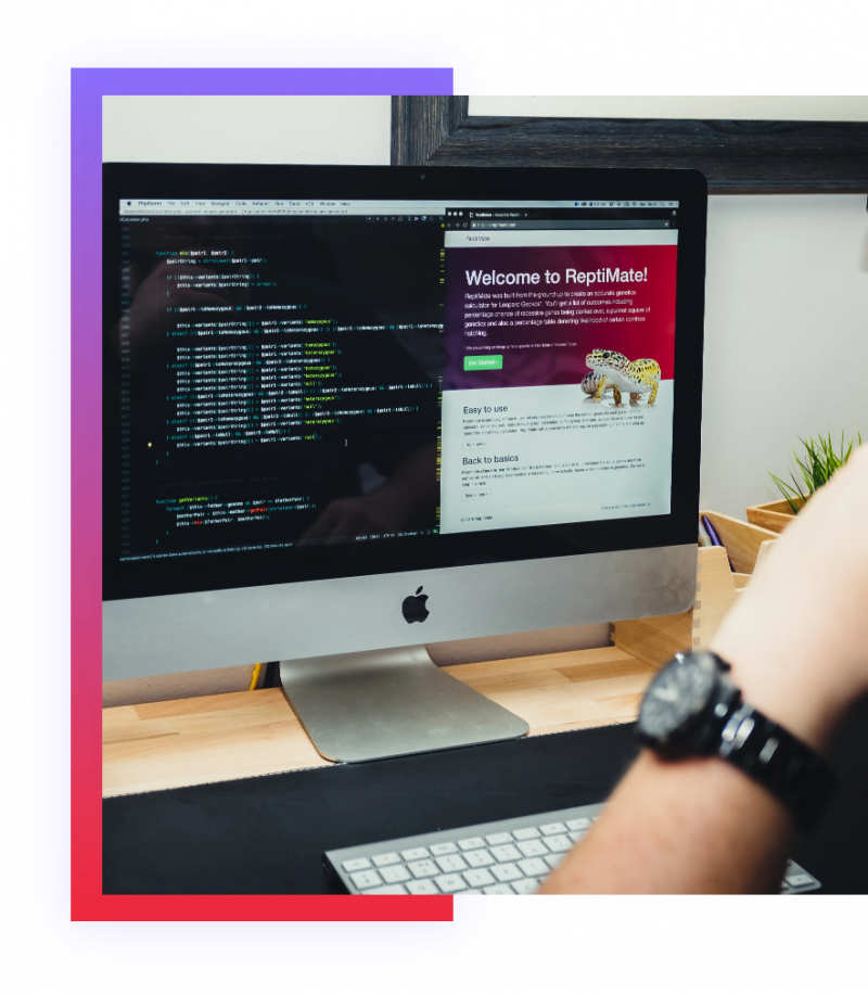 Top Web Application Development Company | CodesOrbit