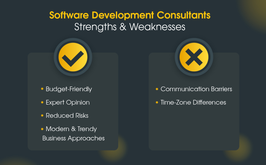 Why Your Business Needs Software Development Consultancy?