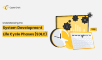 Understanding the System Development Life Cycle (SDLC)